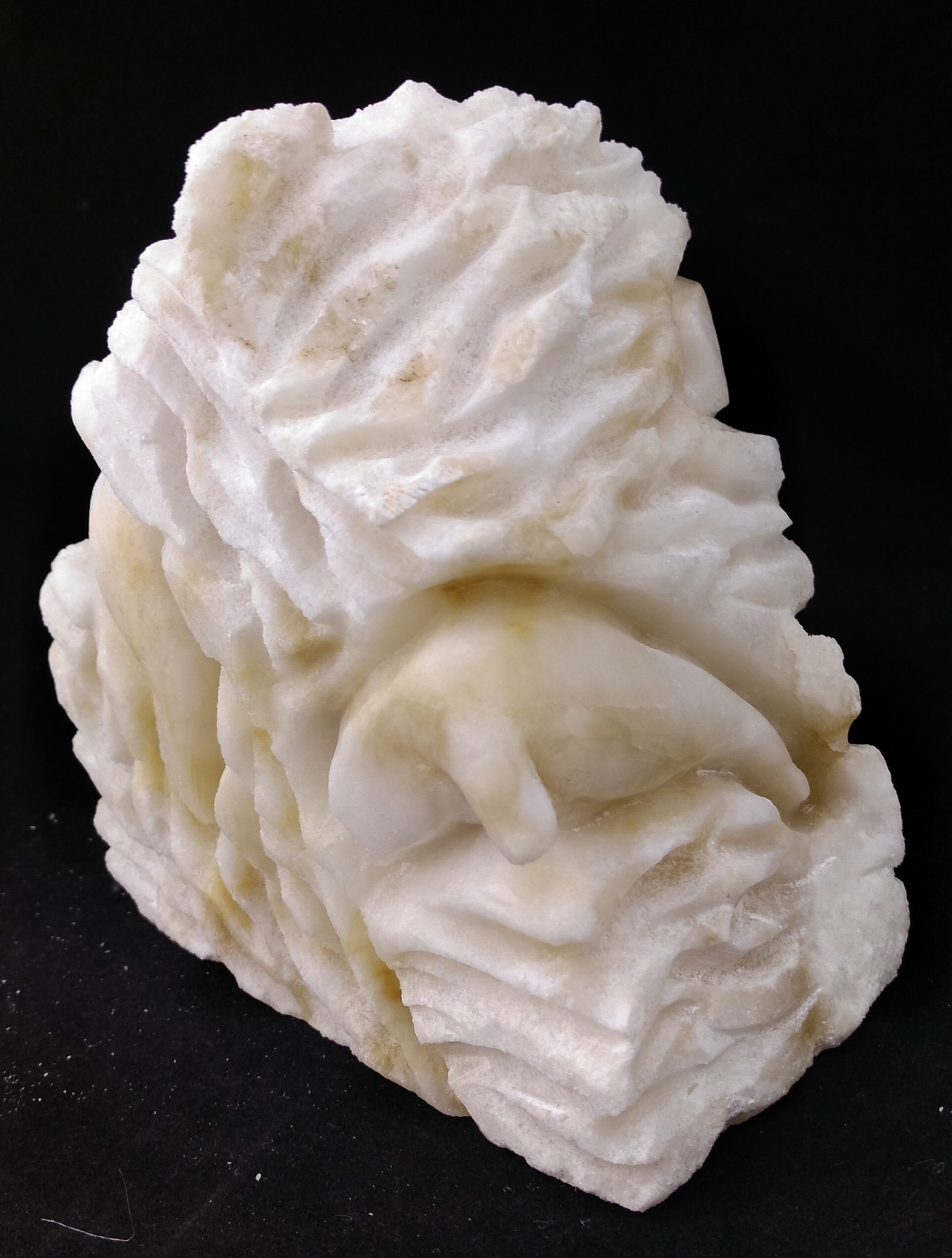 White Alabaster Beluga Whale Carving - Inuit Art - Inuvialuk Artist