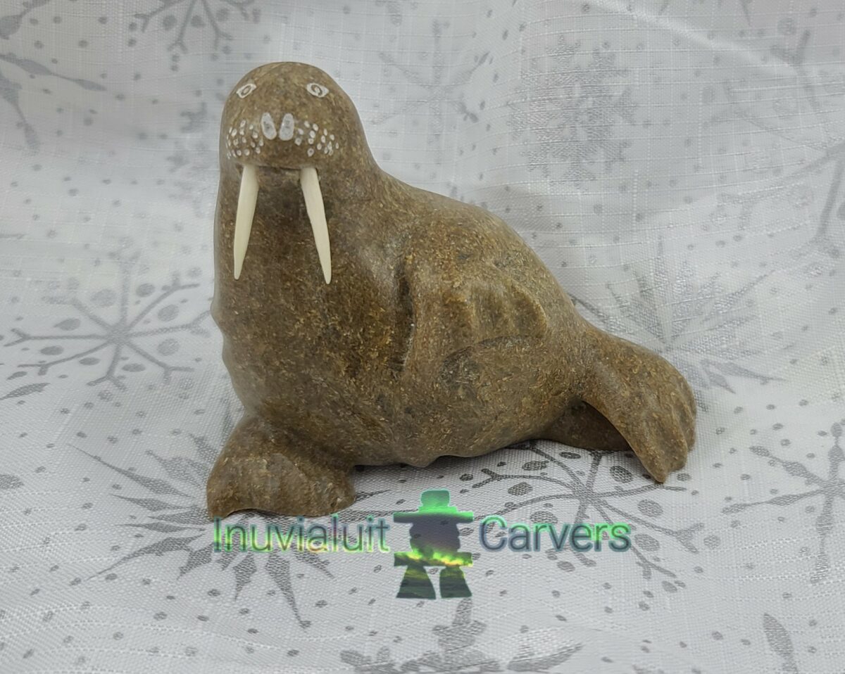 Walrus